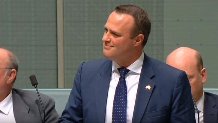 WATCH Australian MP proposes to boyfriend in parliament