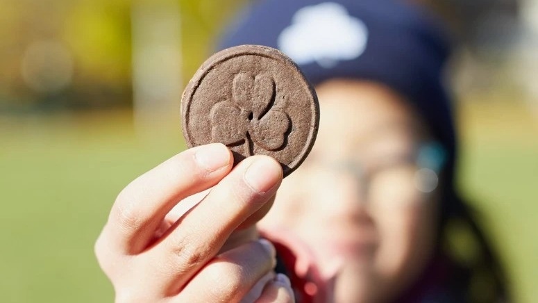 Girl Guides increase price of cookies 20 per cent